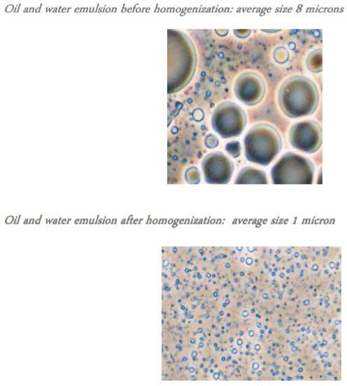 Emulsion vs. Dispersion - What is the Difference? - Holland Applied ...