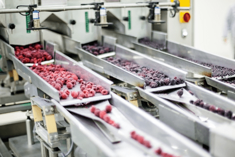 Understanding the Food Safety Modernization Act (FSMA) - Holland ...